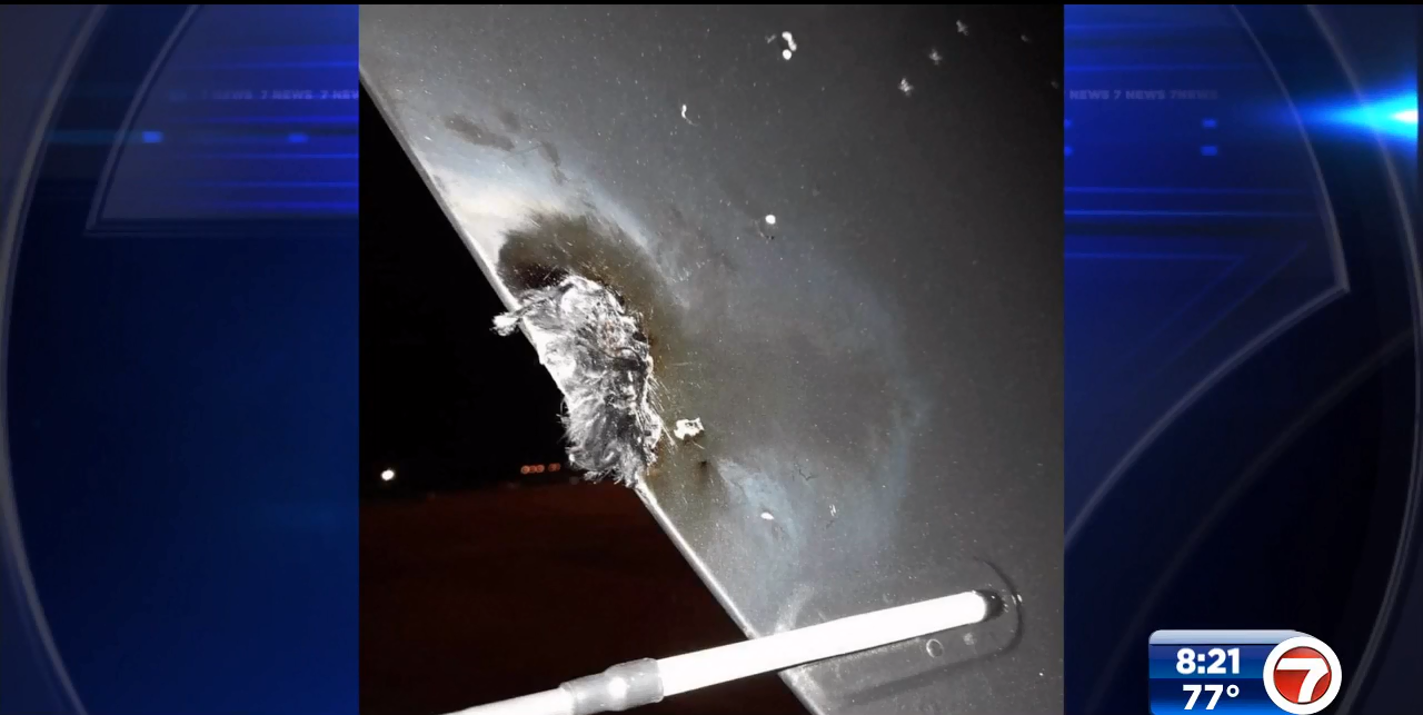 Miley Cyrus’ plane forced to make emergency landing after being struck ...