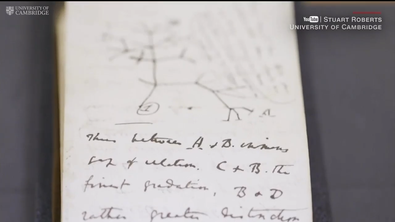Darwin notebooks missing for 20 years returned to Cambridge - WSVN ...