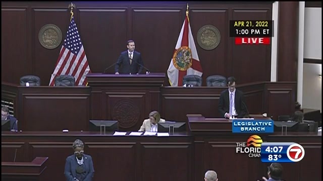 Disney self-government in peril after Florida House vote – WSVN 7News ...