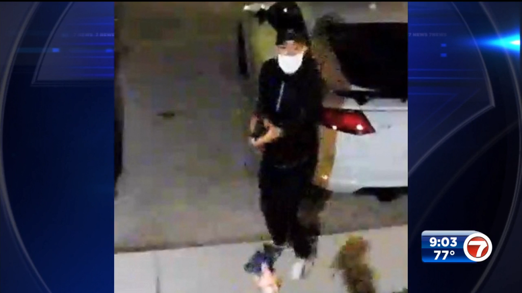 Armed robber targets 2 in Pembroke Pines neighborhood, shoots at victim ...