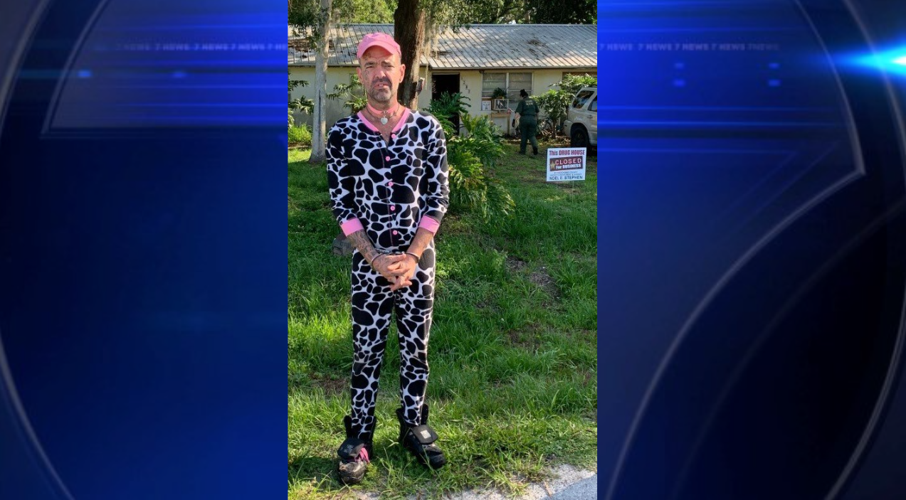 Florida man dressed as cow among several arrested in drug house bust ...