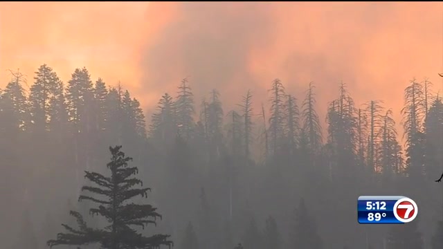 Yosemite fire grows as crews protect iconic sequoias - WSVN 7News ...
