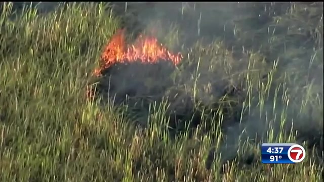 Grass fire near Alligator Alley in West Broward 60% contained, over ...
