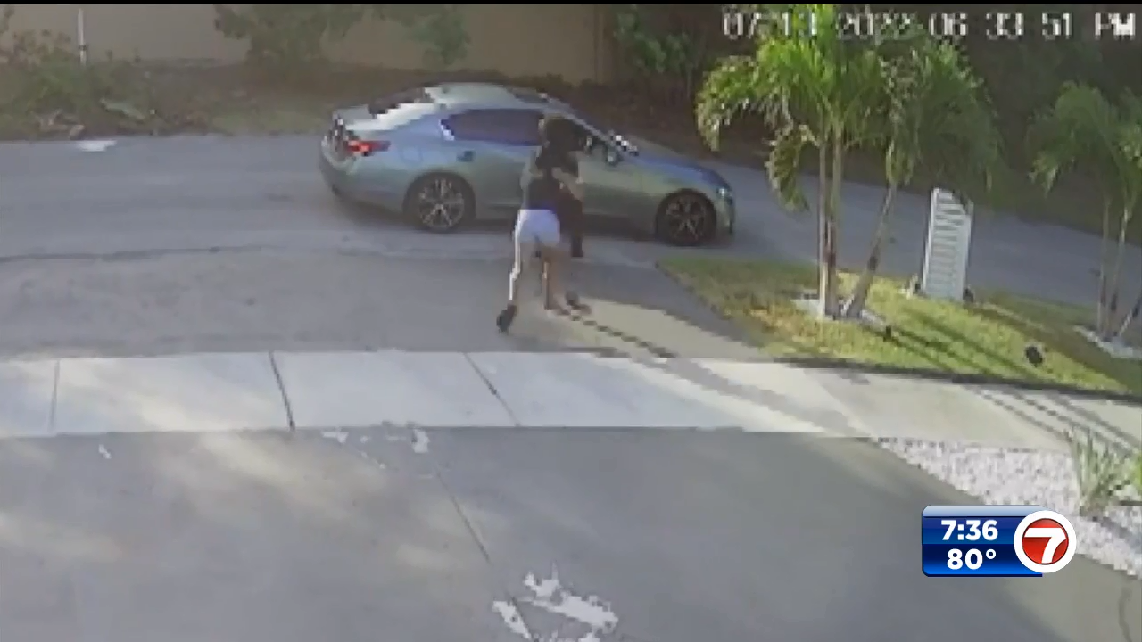 Video shows man snatching iPhone from seller, fleeing in car in North ...