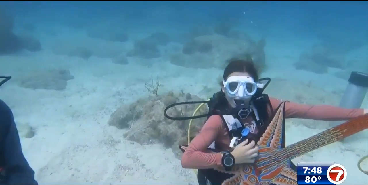 Diving into some tunes at Lower Keys Underwater Music Festival - WSVN ...