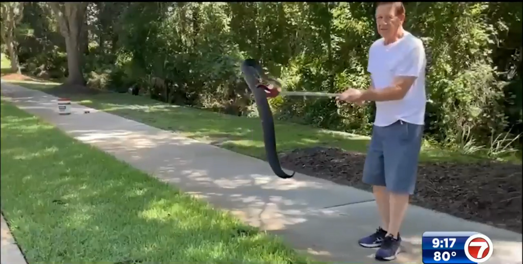 Orlando man captures venomous snake; donates to reptile center for ...