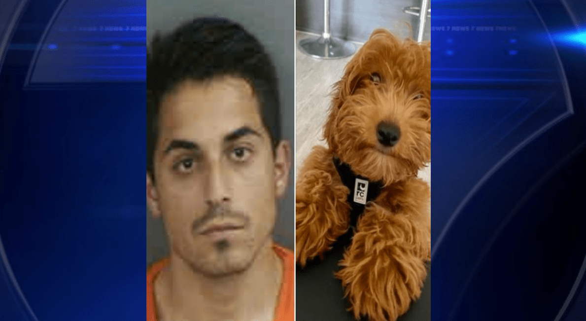 Florida – WSVN 7News | Miami News, Weather, Sports | Fort Lauderdale
