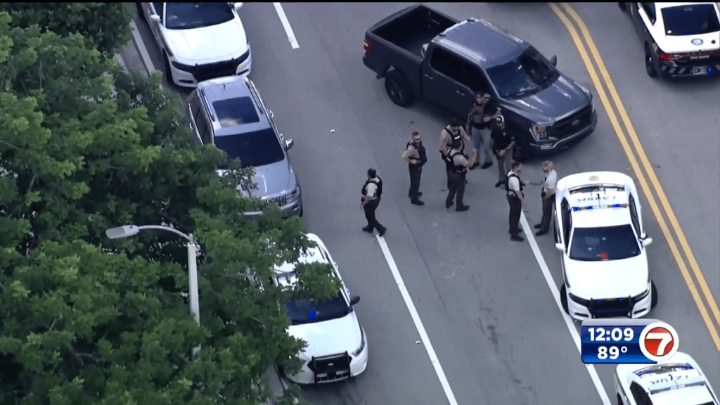 3 Suspects Taken Into Custody After Dumping Stolen Vehicle In Southwest