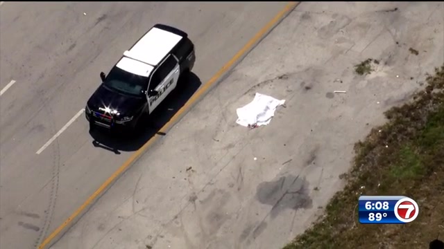 Pedestrian Fatally Struck By Brightline Train In Hollywood Wsvn 7news