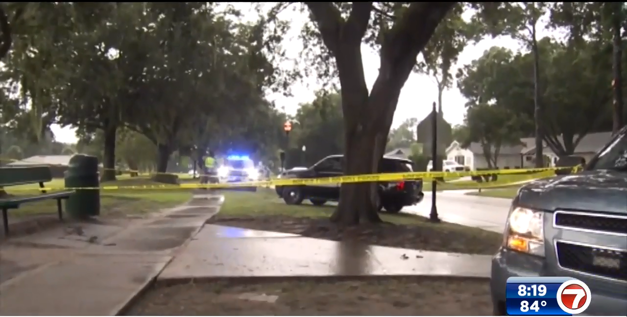 Lightning strike kills mom picking child up from school - WSVN 7News ...