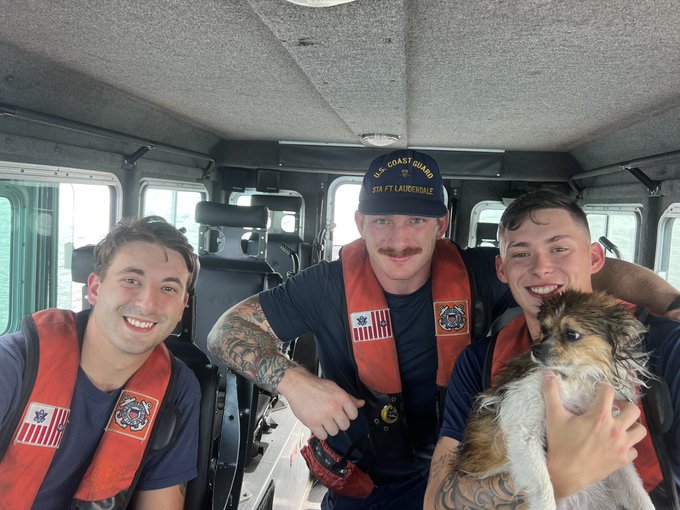 US Coast Guard rescues dog trapped in canal in Fort Lauderdale - WSVN ...