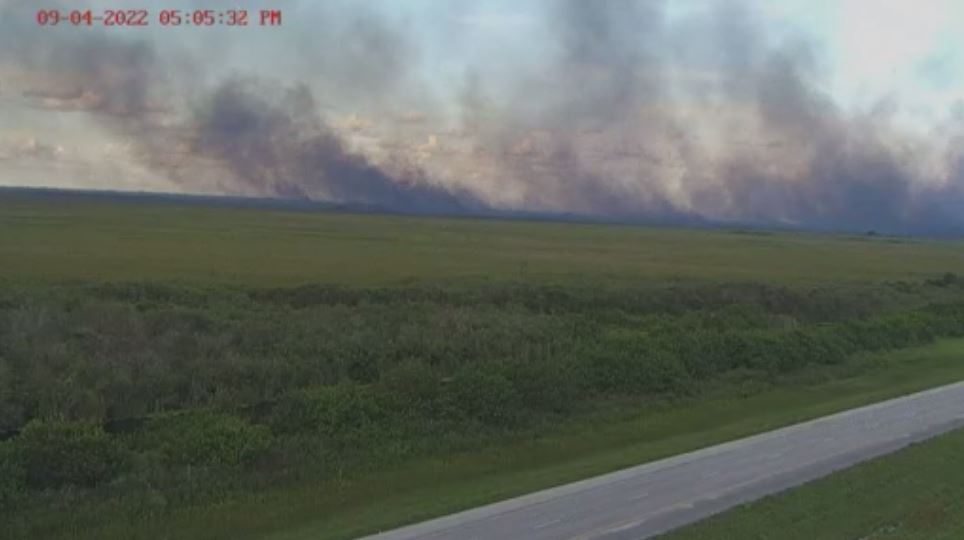 Crews battling Everglades brush fire sparked by lightning near ...