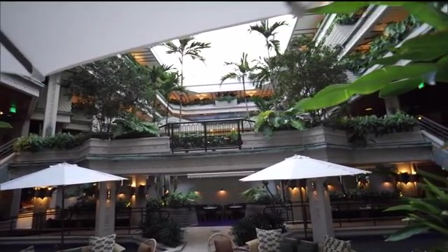 Coconut Grove’s iconic Mayfair House Hotel & Gardens reopens after ...