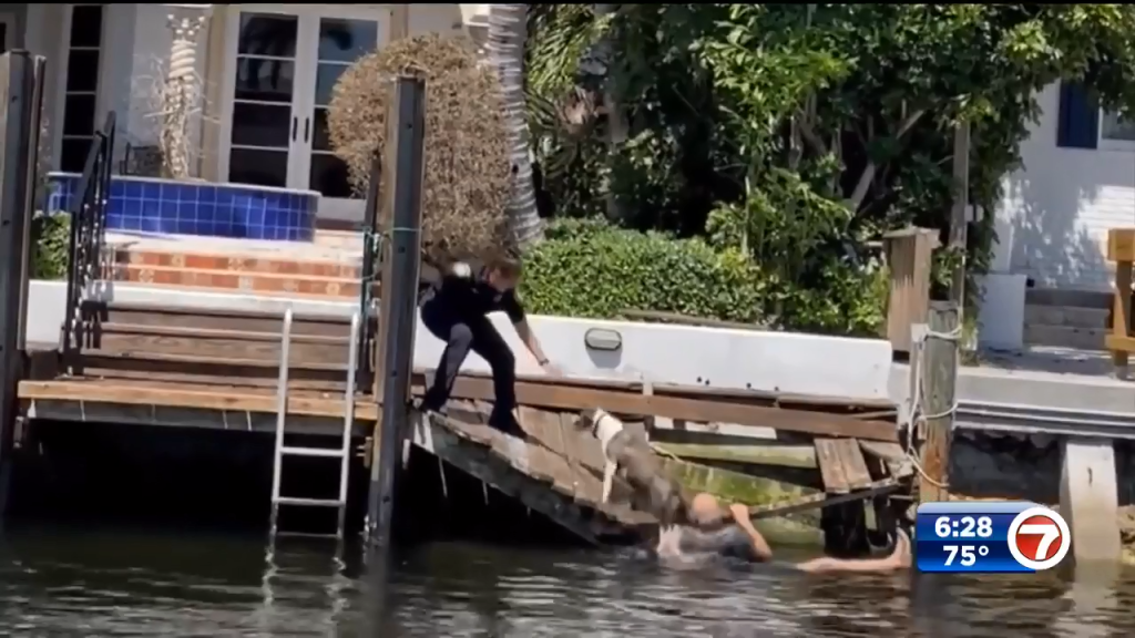 80-pound dog rescued from canal, reunited with owner in Lighthouse ...