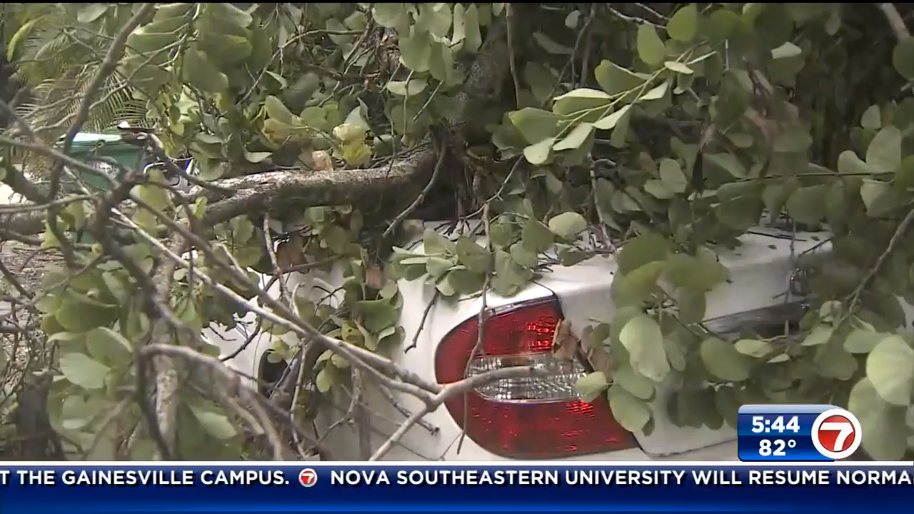 Outer bands of Hurricane Ian leave hefty clean up for Miami-Dade ...