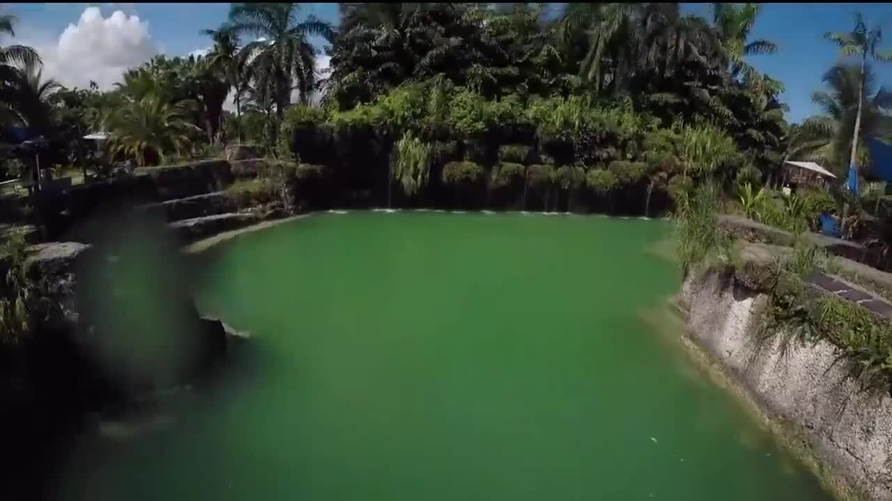 Blue Lagoon Farm is a hidden Redland gem you wish you knew about sooner ...