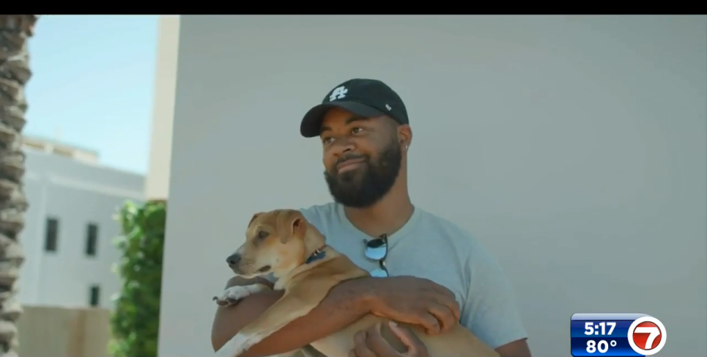Tinder connects dogs with forever homes in honor of National Dog Week ...
