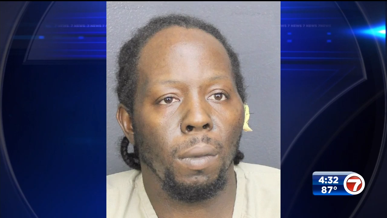 Suspect Accused Of Hit And Run In Hollywood Faces Judge Wsvn 7news