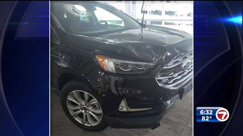 1 In Custody In Connection To Fatal Fort Lauderdale Hit And Run Wsvn