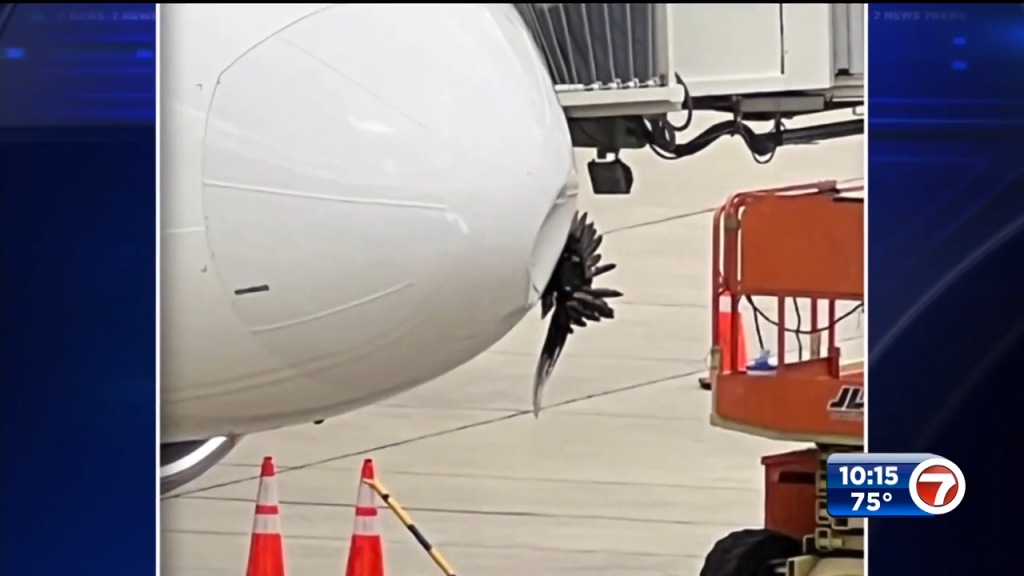 Plane makes emergency landing in Orlando due to a bird lodged into ...