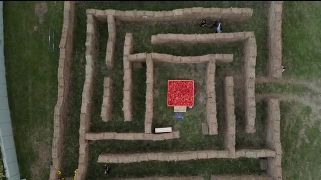Hay Maze Miami brings traditional spooky season fun to Bayfront Park ...