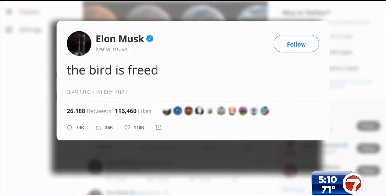 AP sources: Musk in control of Twitter, ousts top executives - WSVN ...