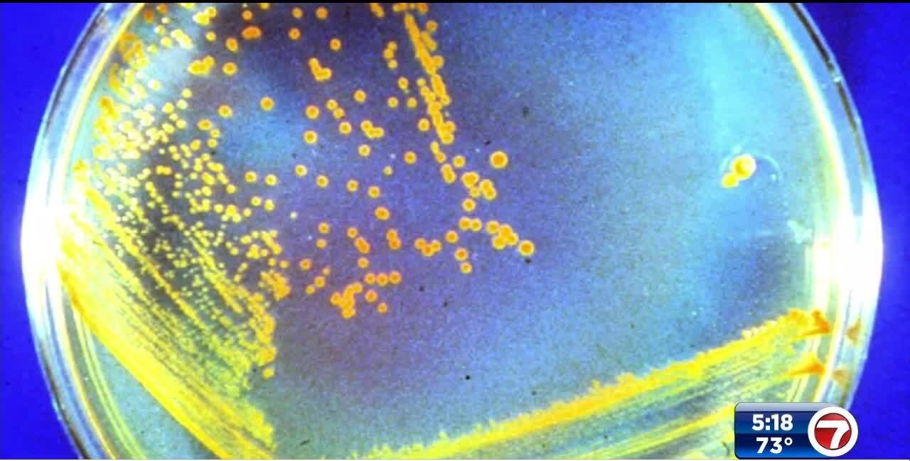 Microbes may have survived for millions of years beneath the Martian ...