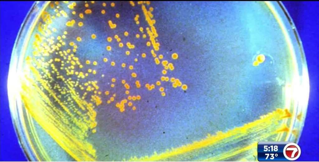 Microbes may have survived for millions of years beneath the Martian ...