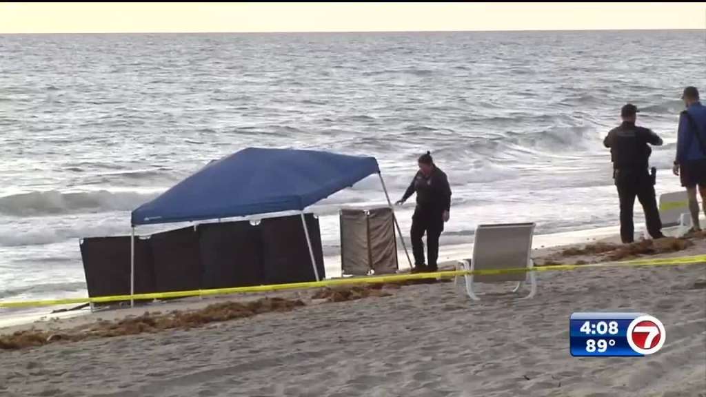 Body of missing diver found in Hollywood – WSVN 7News | Miami News ...