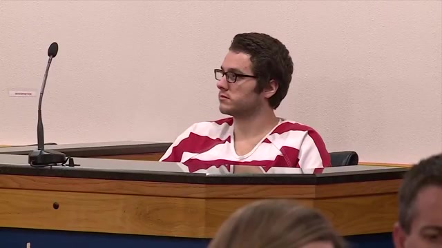 Judge accepts insanity plea deal for Florida man in face-biting case ...