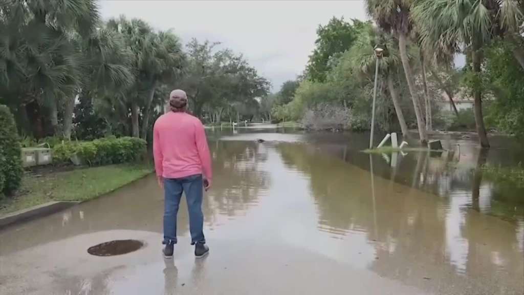 Rains from Nicole douse eastern US from Georgia to Canada – WSVN 7News ...