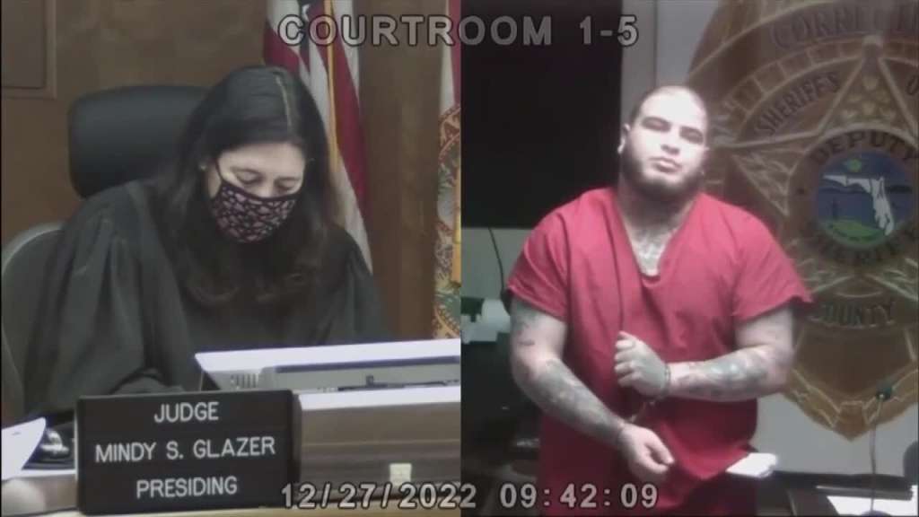 Man who discharged firearm on Palmetto Expressway faces judge – WSVN ...