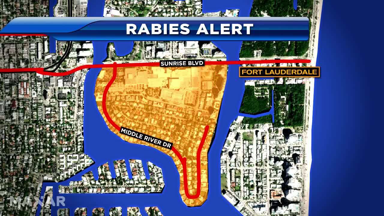 Rabies alert issued in Fort Lauderdale - WSVN 7News | Miami News ...