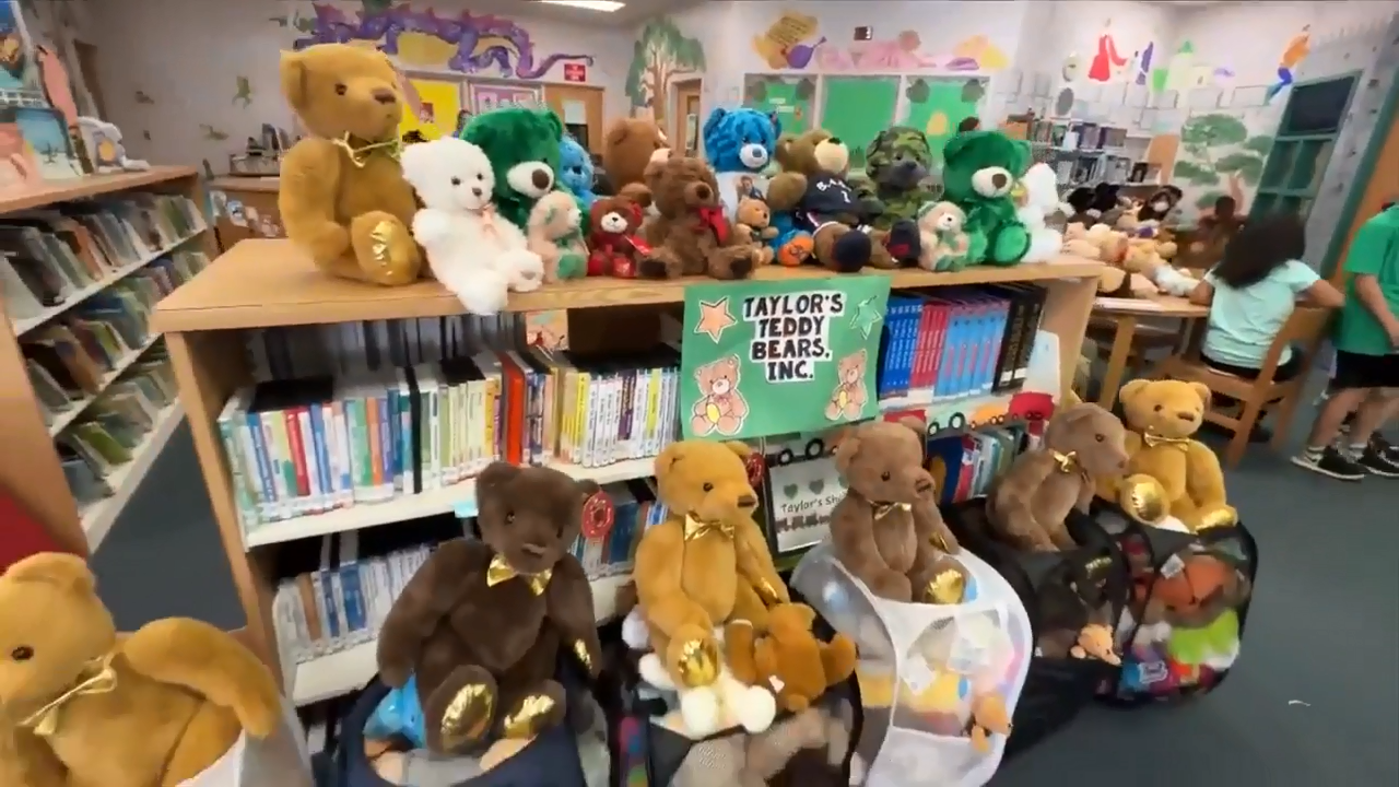 Teddy Bear Drive held in Hollywood school to honor Taylor Bishop - WSVN ...