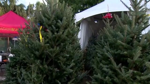 Miami Beach Firefighters Help Key Biscayne Church Left Without Hundreds