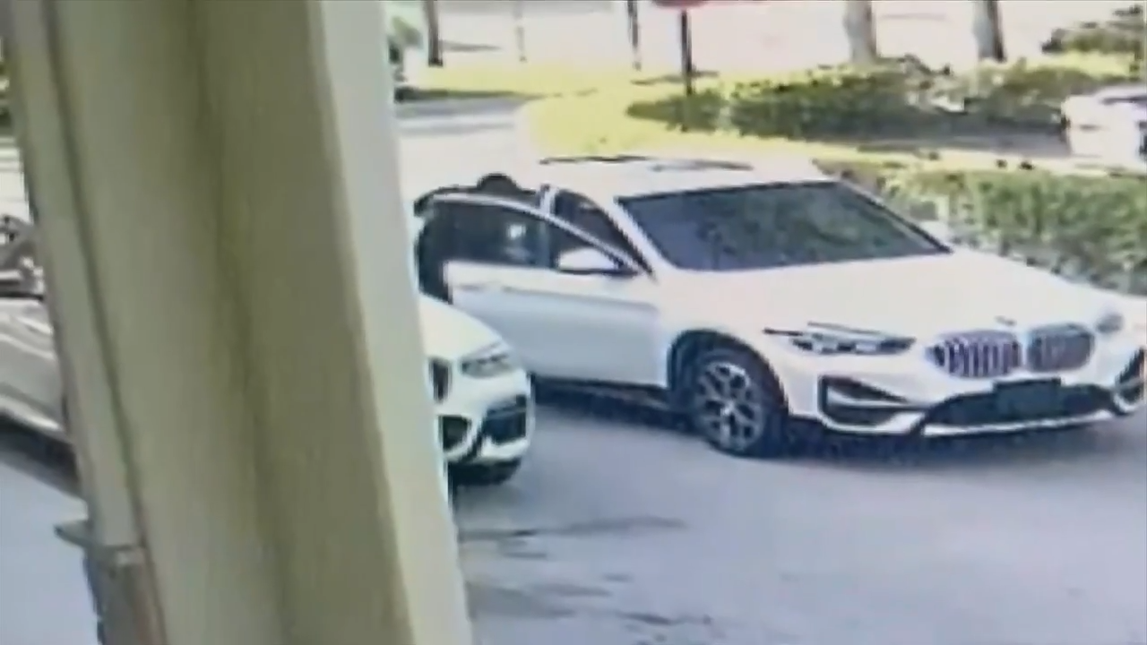 Purse Snatcher Caught On Camera Targeting Car Outside Pembroke Pines