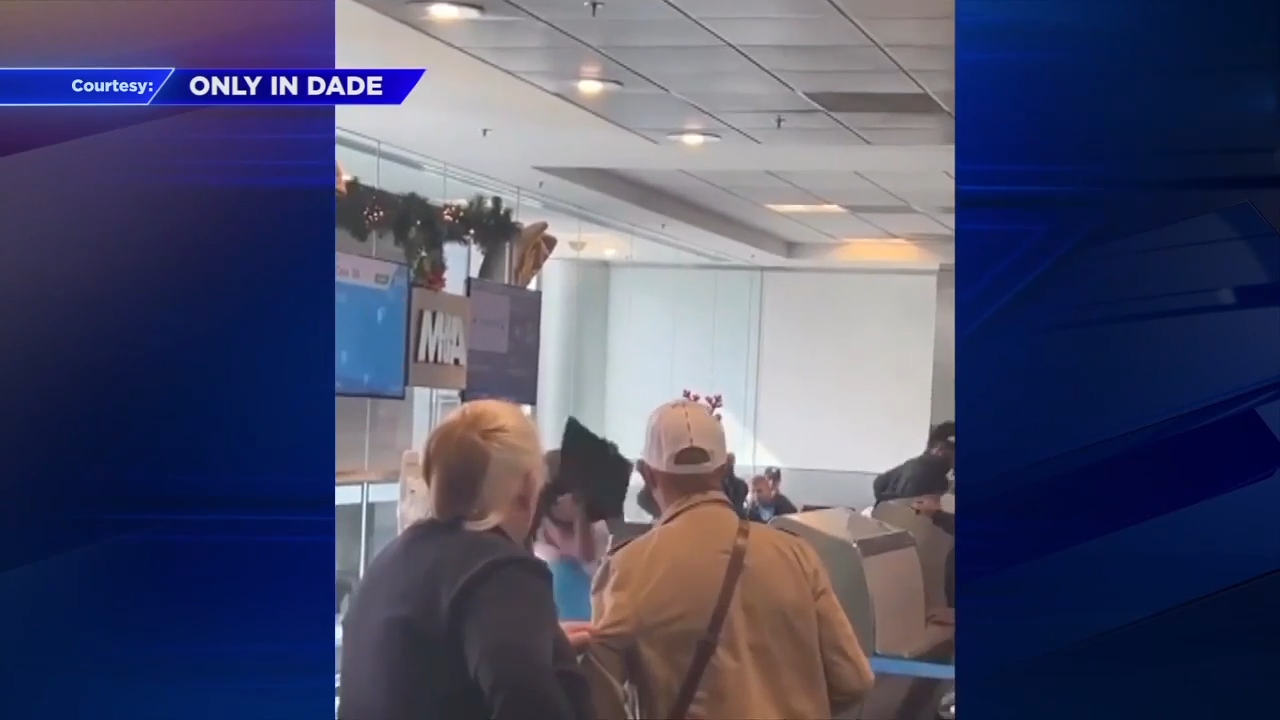 Woman arrested after assaulting American Airlines employee at MIA ...