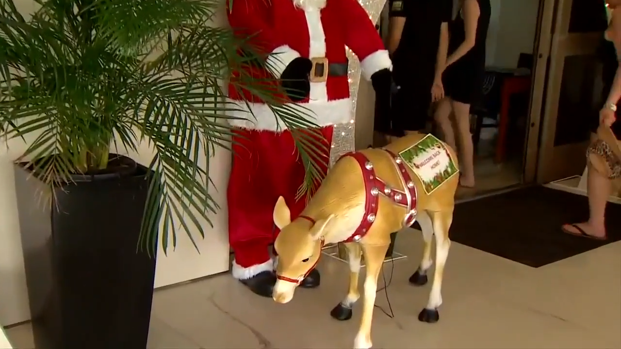 Woman returns full-size reindeer decoration stolen from Fort Lauderdale ...
