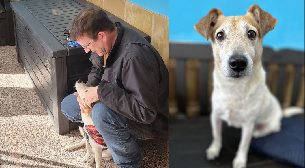 Dog reunited with owner after missing for nearly six years - WSVN 7News ...