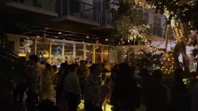 Higher Ground in Wynwood elevates your evenings with oasis vibe ...