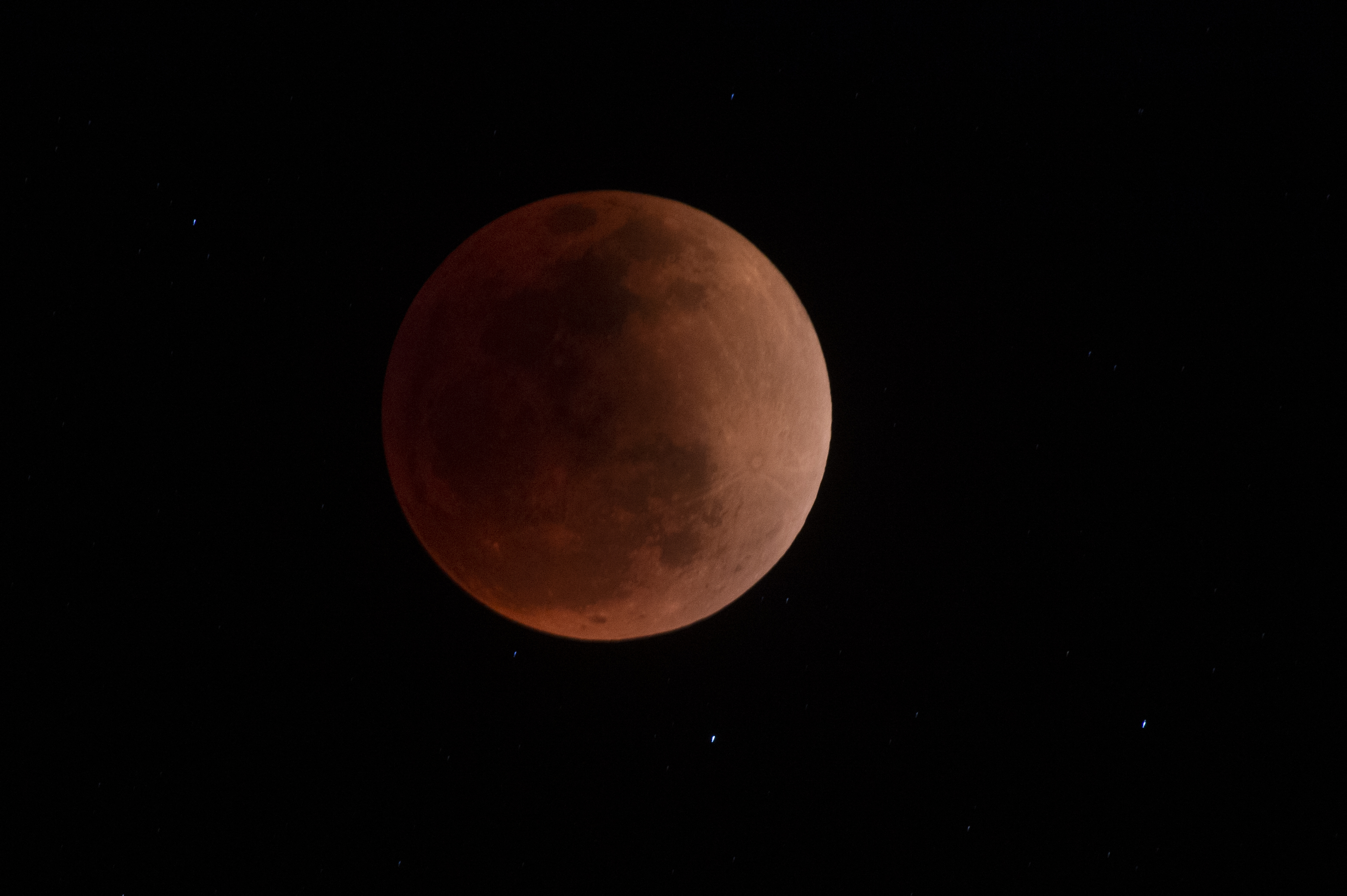See January’s wolf moon light up the sky - WSVN 7News | Miami News ...
