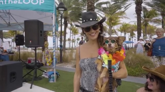 Circus-themed Fur the Love Pet Fest brings big top fun to Las Olas ...