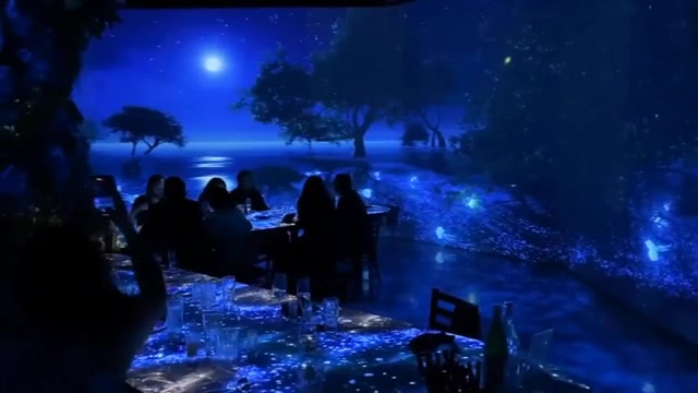 Hidden Worlds pop-up brings underwater immersive experience to ...