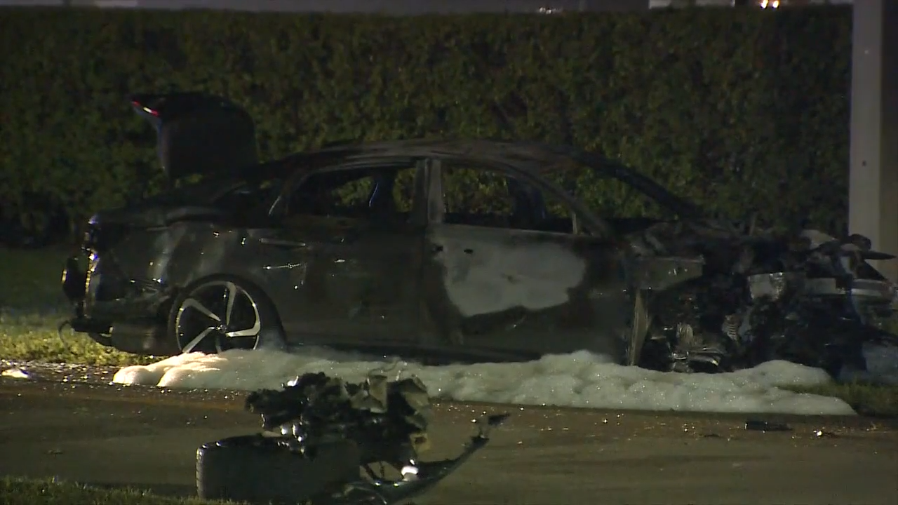 1 dead after colliding with tree in Plantation - WSVN 7News | Miami ...