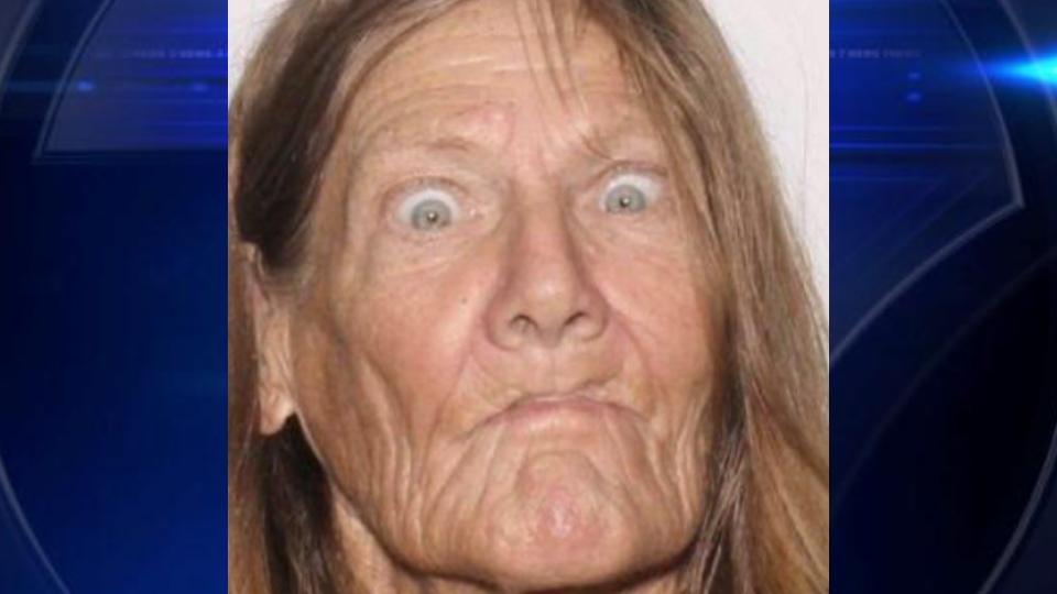 Police Searching For Elderly Woman Missing From Coconut Grove Wsvn