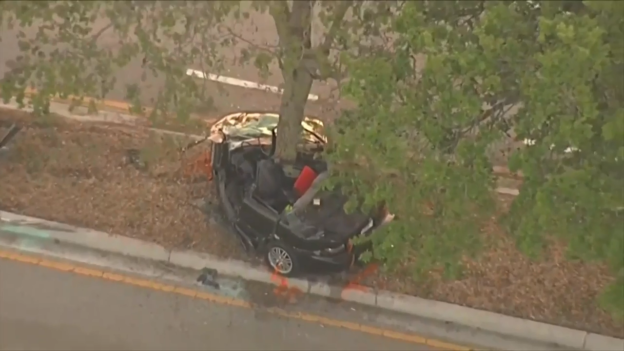Driver Transported To Hospital After Slamming Into Tree In Margate