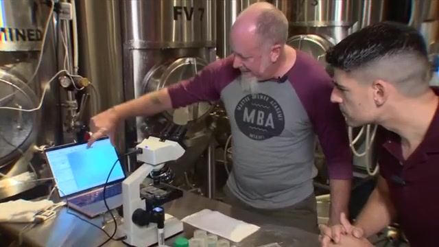 Master Brewer Academy in Miami pours pints of knowledge into brewing ...