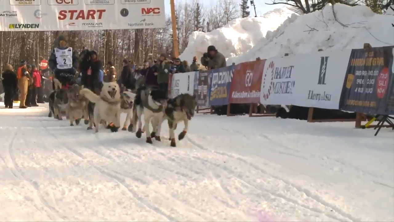 33 Iditarod sled dog race mushers to trek across Alaska - WSVN 7News | Miami News, Weather ...