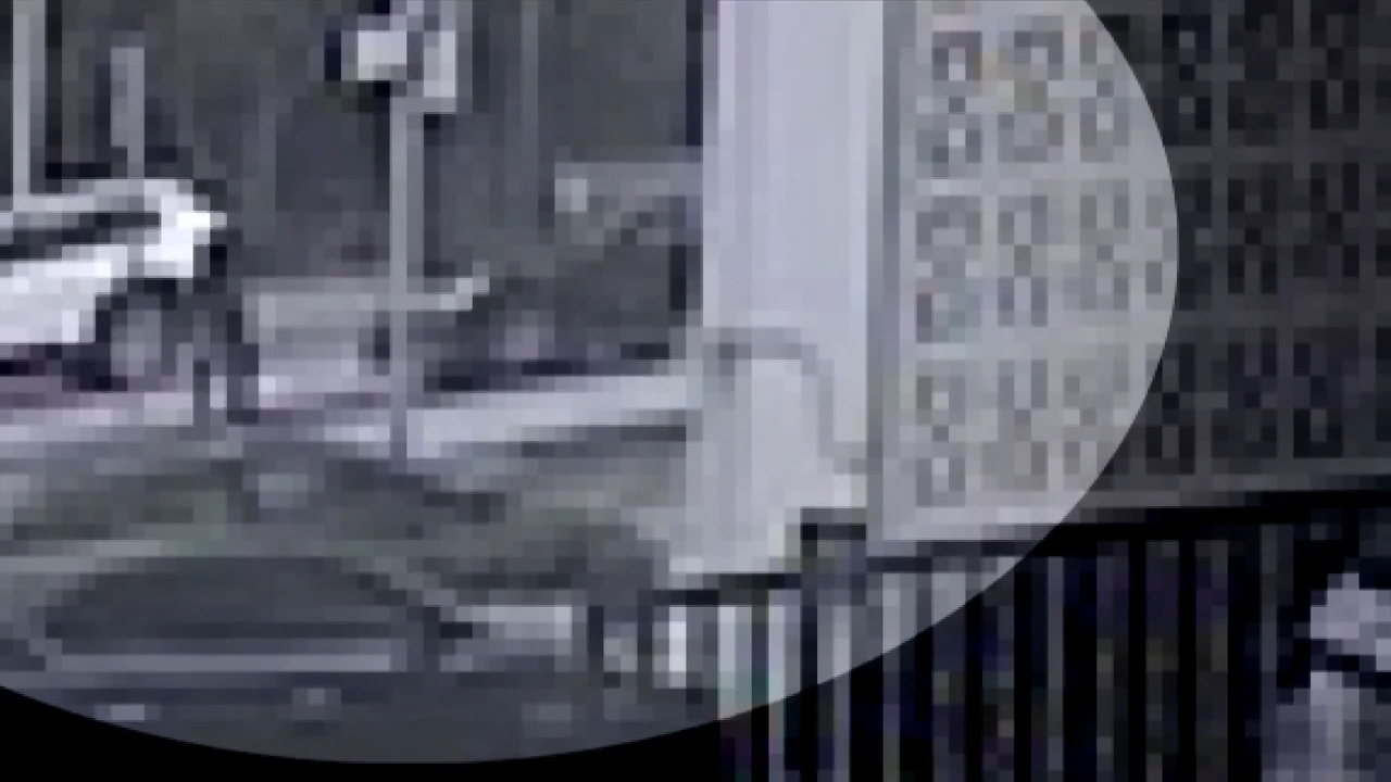 New Video Released Of Miami Beach Hit And Run That Hospitalized 2