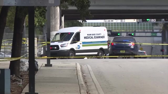 Man killed in hit-and-run in downtown Miami; driver flees on foot ...